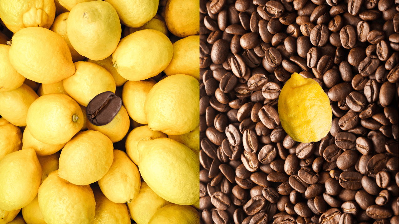 Lemon Foam Cold Brew Coffee Recipe - DripBeans